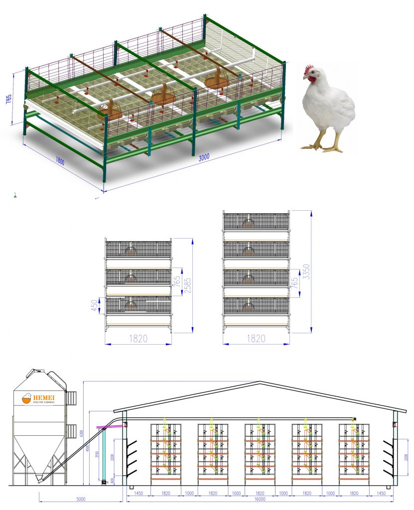 Best H Type Broiler Cage Systems