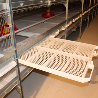 Broiler Cage System