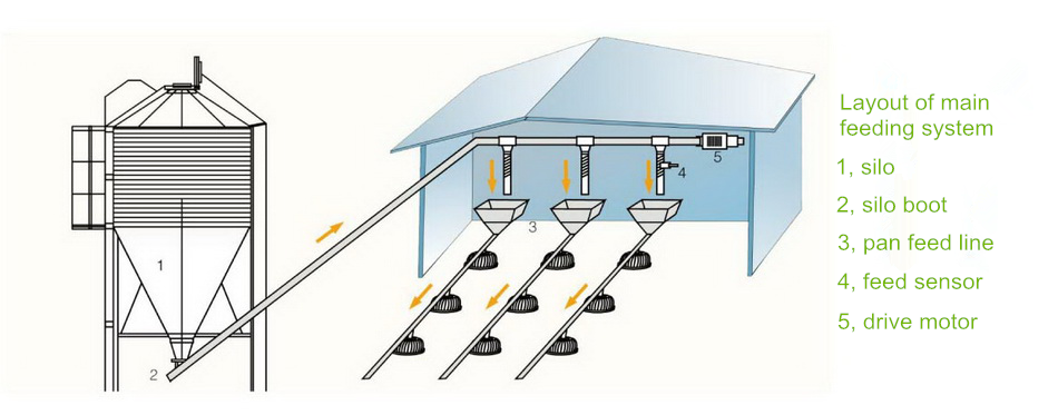 Broiler Floor Management System